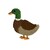 Mini Mallard Duck Machine Embroidery Design-instant DOWNLOAD - Etsy