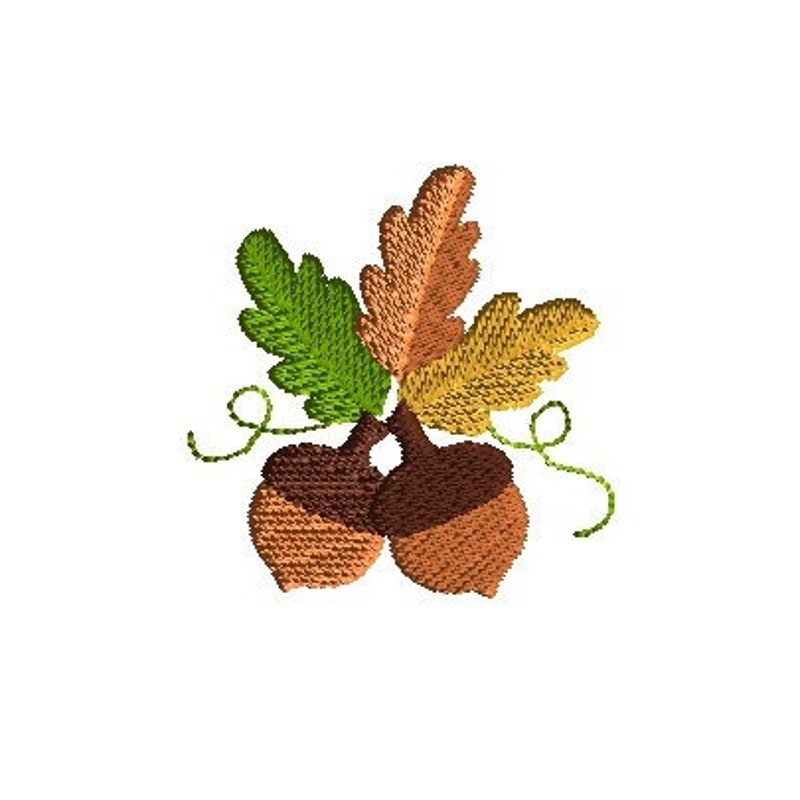 Acorn Embroidery - Etsy