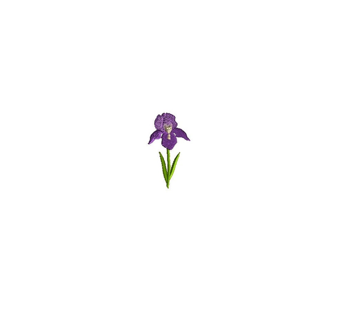 Mini Iris Machine Embroidery Design-instant DOWNLOAD-3 Sizes - Etsy