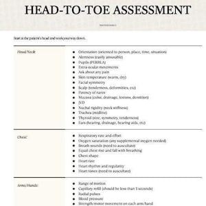 Head to Toe Assessment Document - Etsy