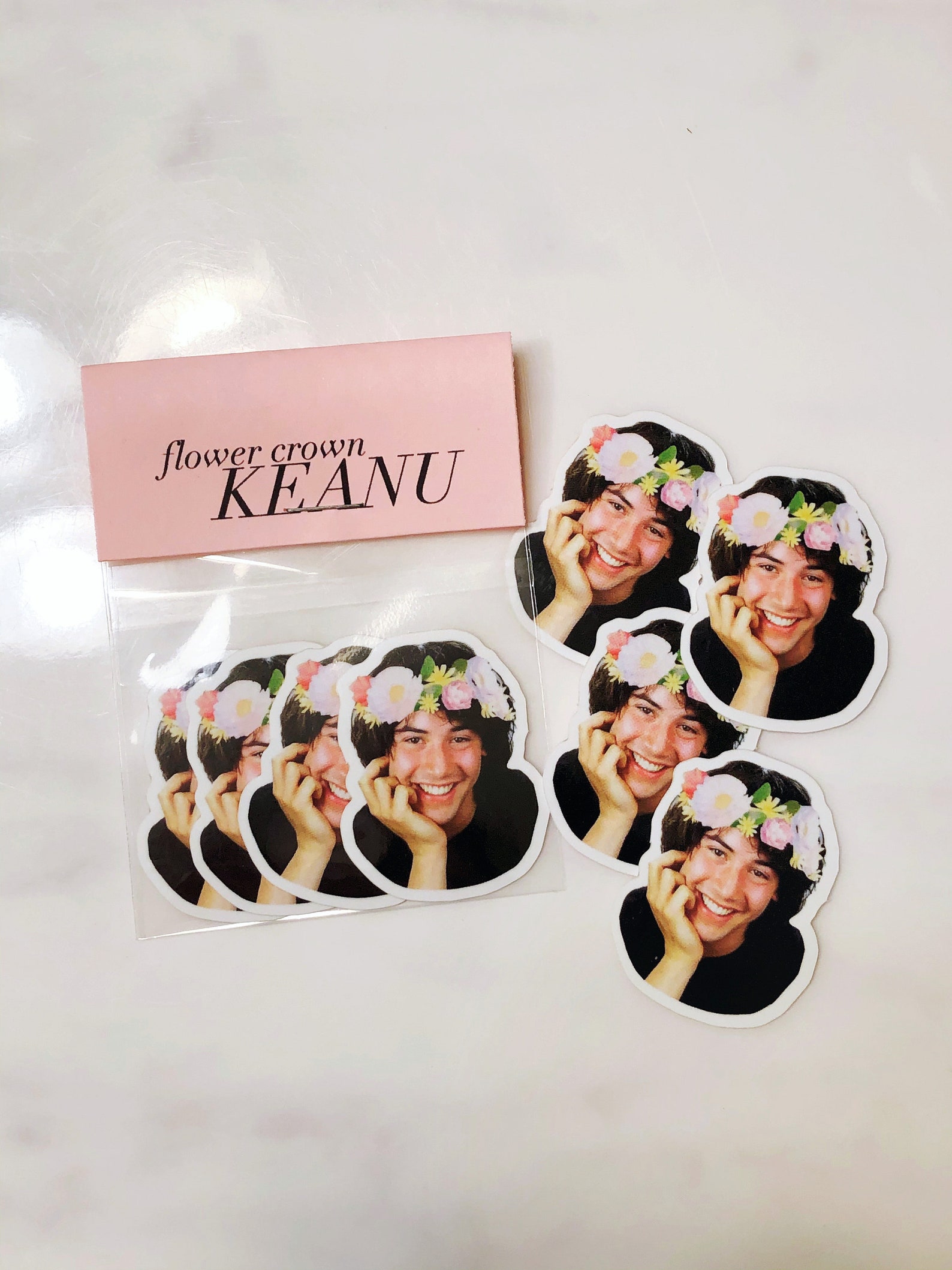 Little Flower Crown Keanu Vinyl Sticker Set - Etsy