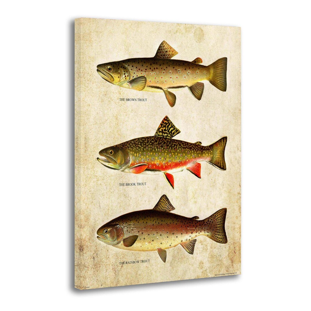 Rainbow Trout Fish Painting on Wall Art Poster Picture Print Living ...