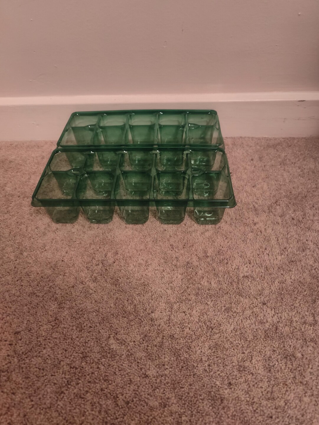 Reusable Deep Cell Seed Tray – 6 Cell Propagation Planter for Seeds ...