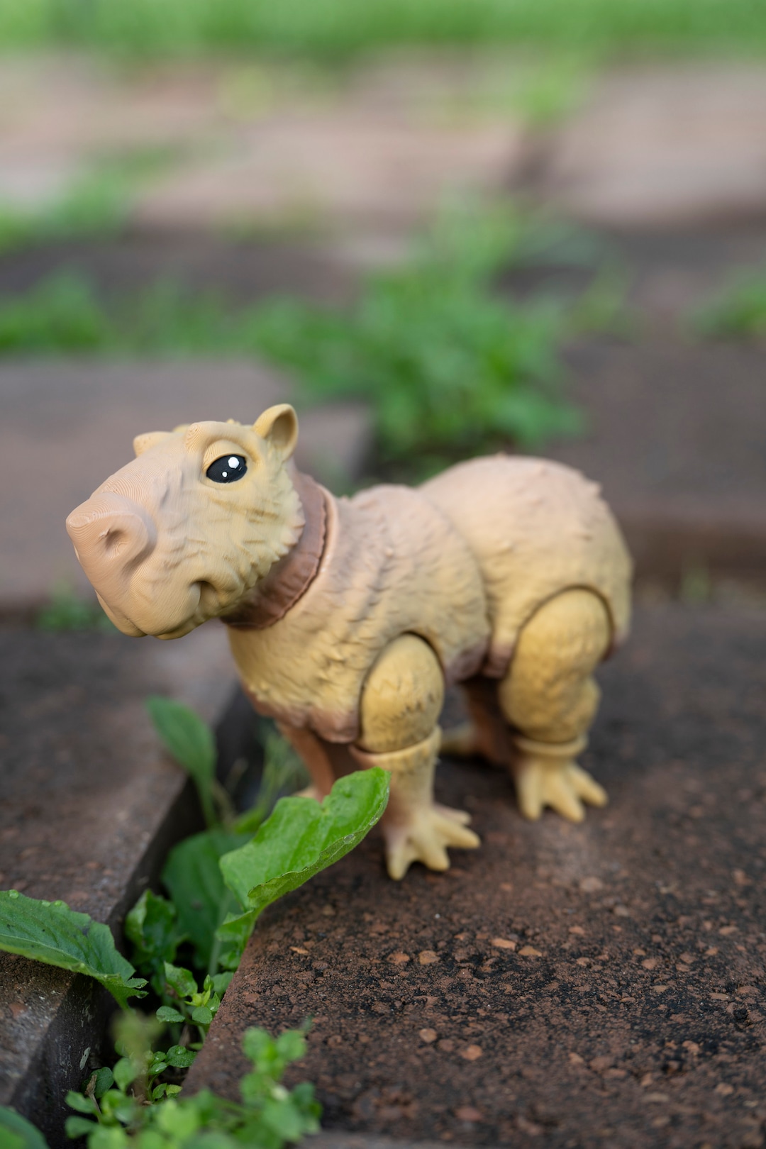 Capybara Fidget Toy - Articulated Sensory Pet (made to Order) - Etsy