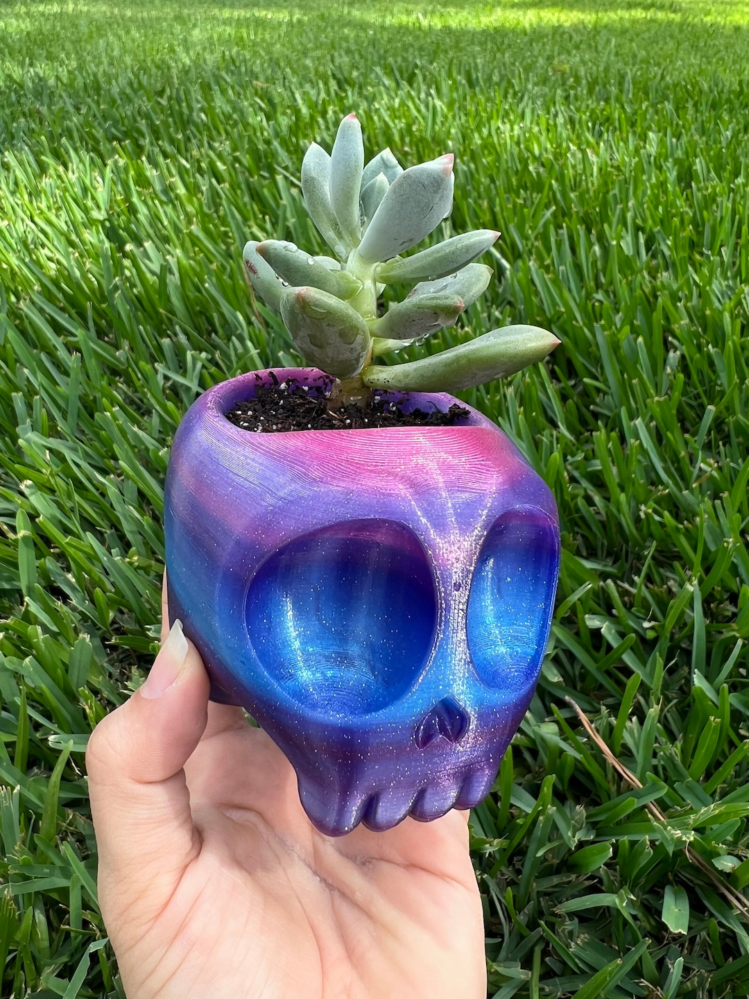 3D Printed Skull Planter: Gothic Succulent Pot With Drain - Etsy