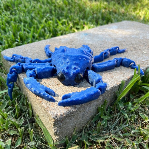 Flexi Fish Fidget made to Order Articulated Fish Sensory Toy - Etsy
