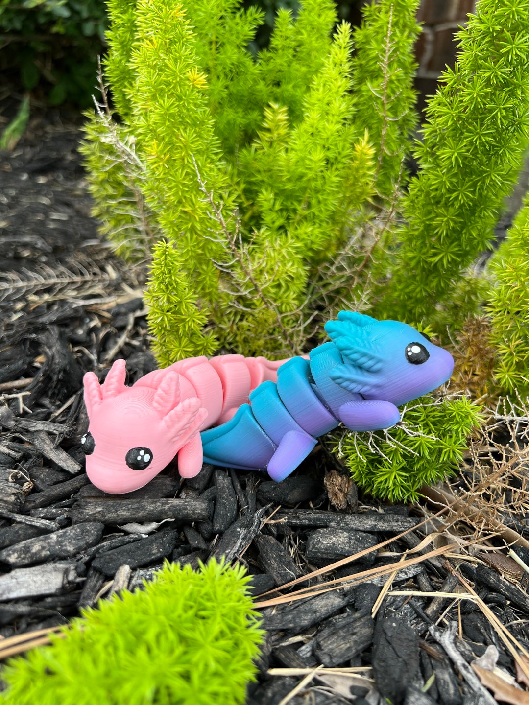 Baby Axolotl Fidget made to Order Cute Articulated Axolotl Sensory Toy ...