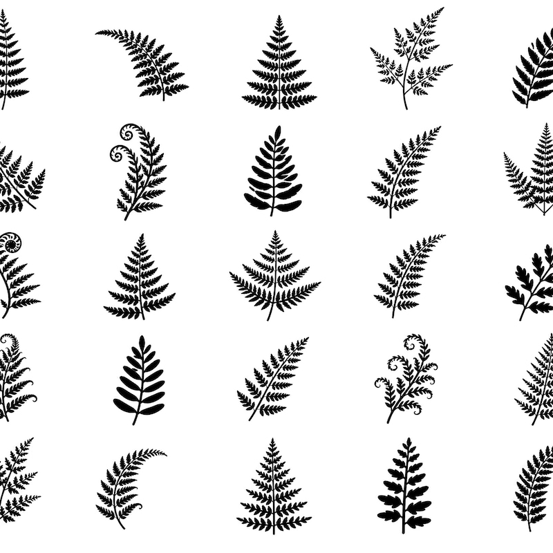 Fern Line Drawings - Etsy