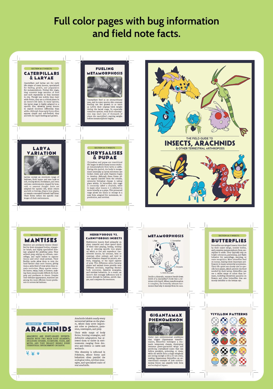 Bugs Field Guide Printable Binder Inserts | 59 Cards + Inside Cover ...