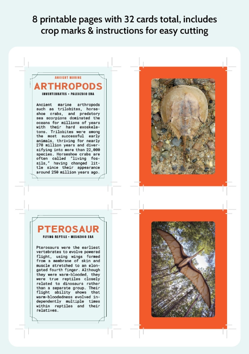 Pokémon Fossil Binder Inserts Printable PDF | 8-page Fossil Field Guide ...