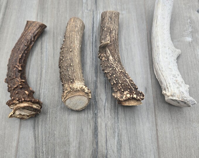 4 Deer Antler Knife Handles - Etsy