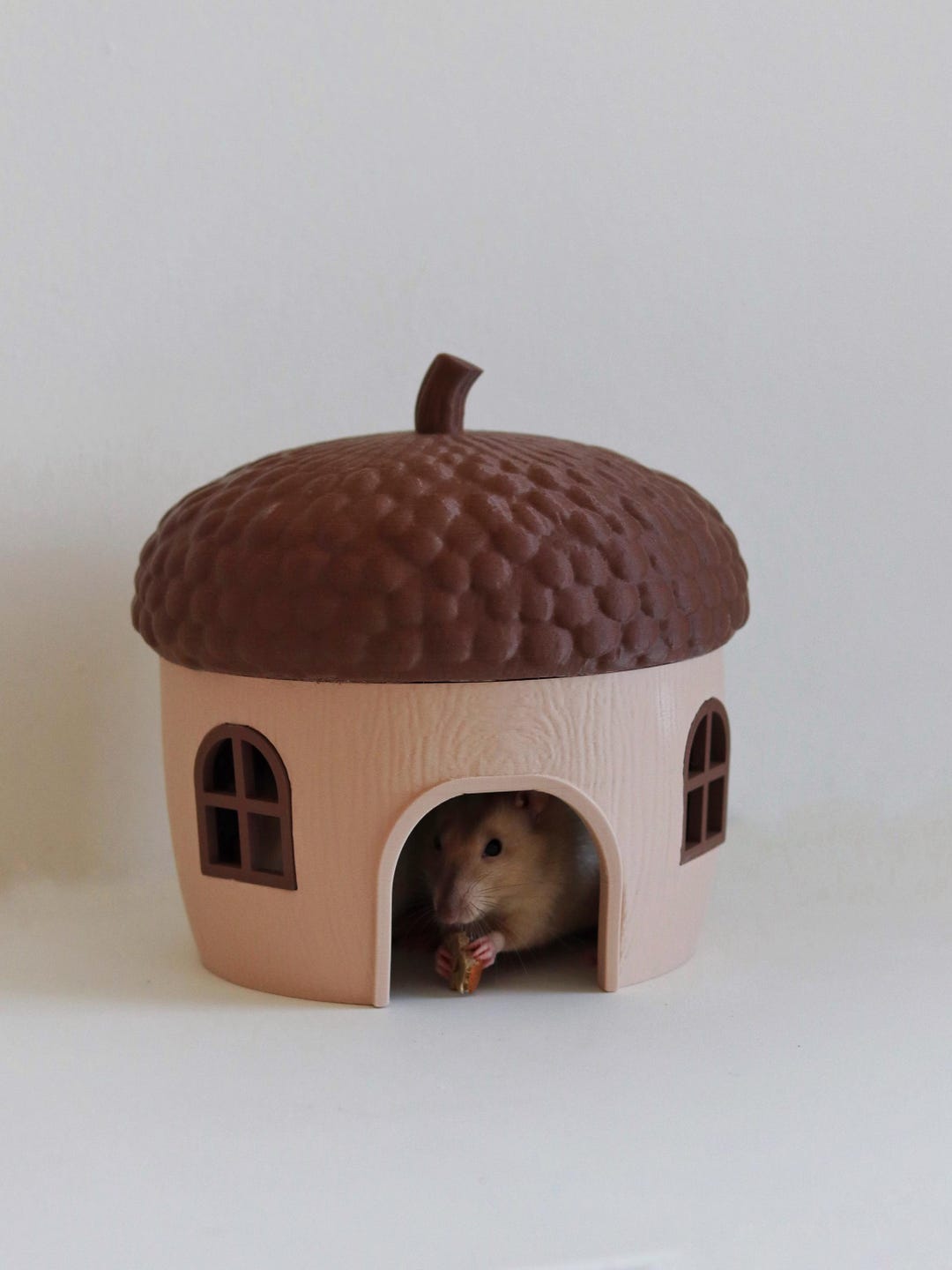 Acorn Hideout for Rats, Hamsters, Mice – Small Pet House, Rodent Hide ...