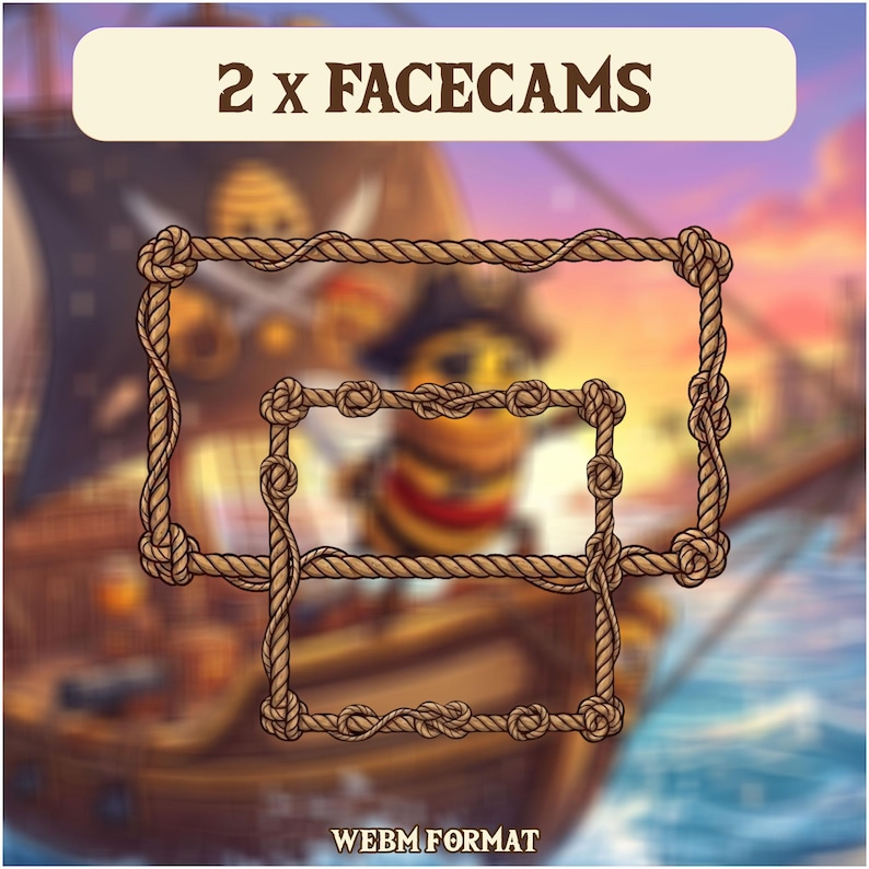 Pirate Bee Animated Stream Overlays | Twitch, Youtube, Kick Graphics ...