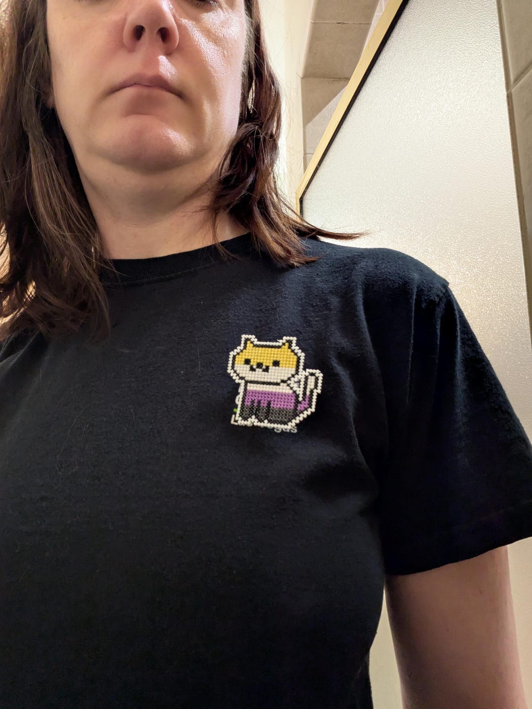 Nonbinary Cat, Pride Pin, Nonbinary Flag - Etsy