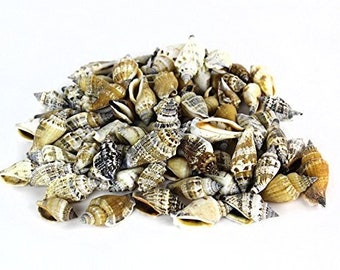 Chinese Hanzi Practice Worksheet With Complete Pinyin Step by - Etsy