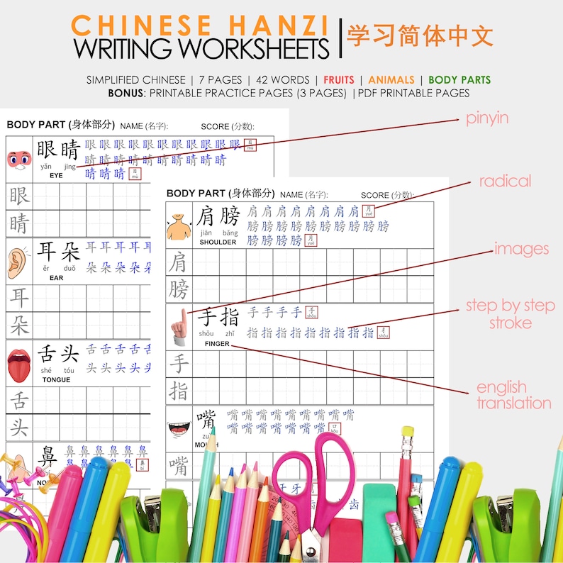 Chinese Hanzi Practice Worksheet With Complete Pinyin Step by | Etsy
