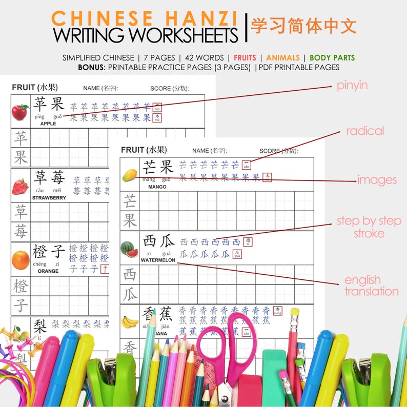 Chinese Hanzi Practice Worksheet With Complete Pinyin Step by - Etsy