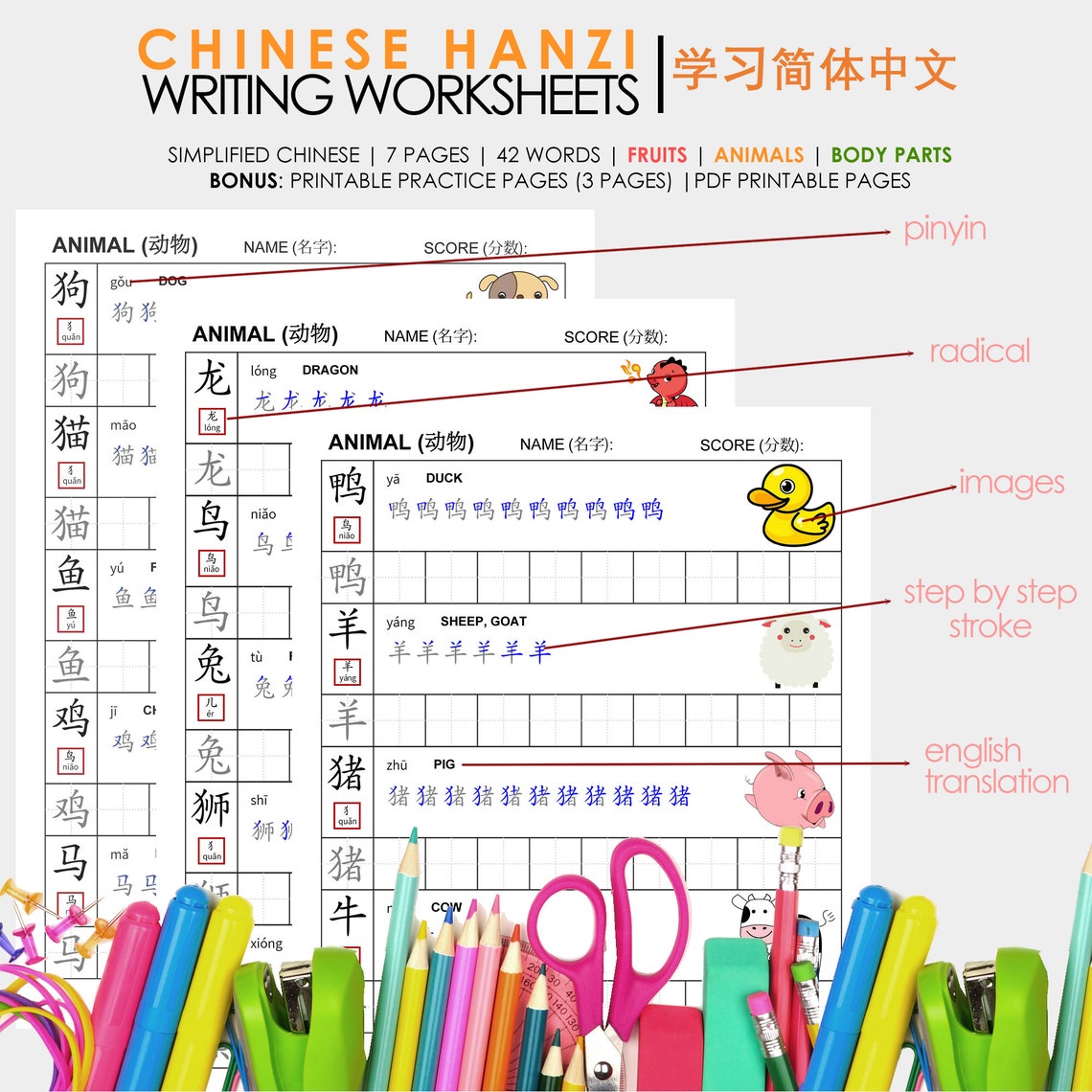 Chinese Hanzi Practice Worksheet With Complete Pinyin Step by | Etsy