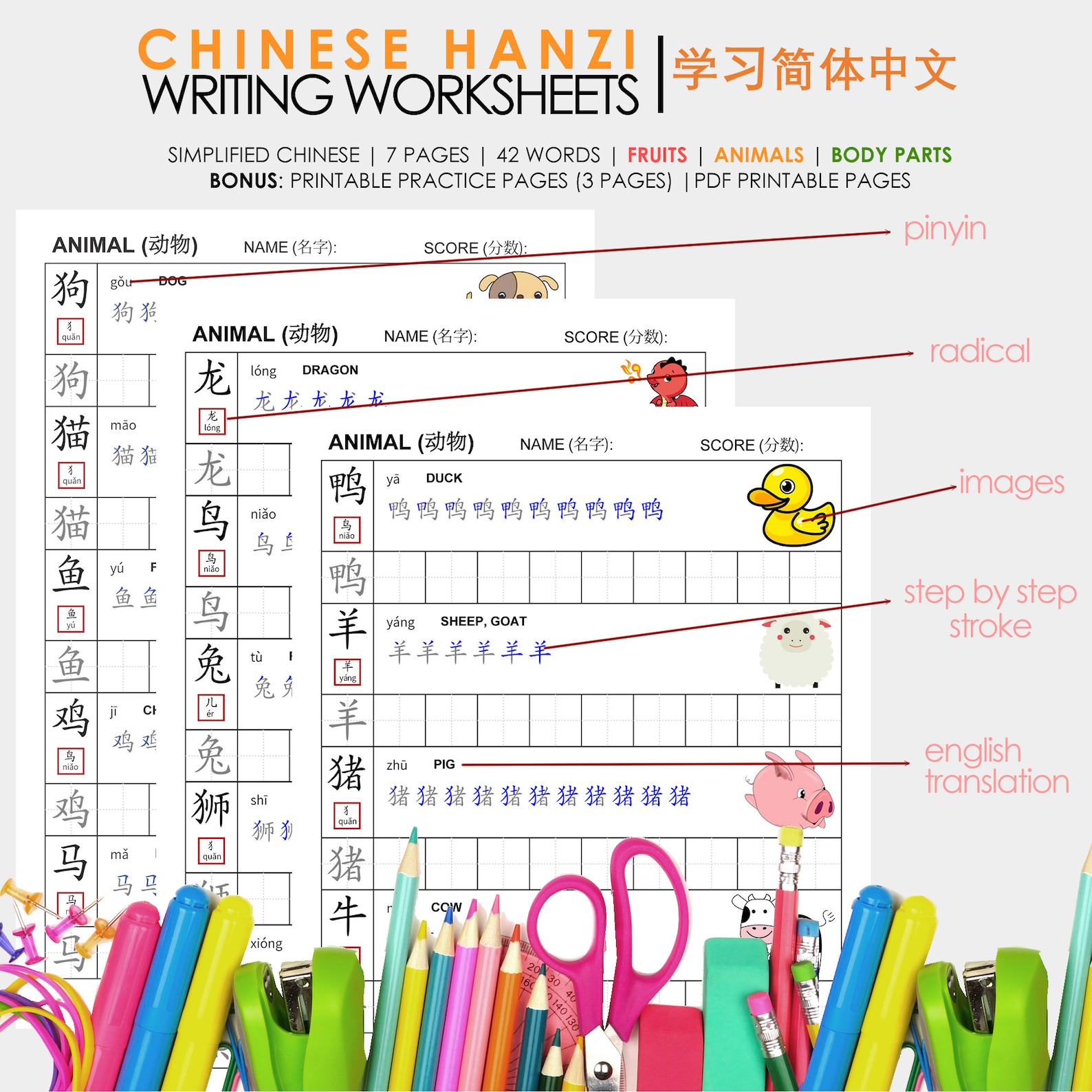Chinese Hanzi Practice Worksheet With Complete Pinyin Step by | Etsy