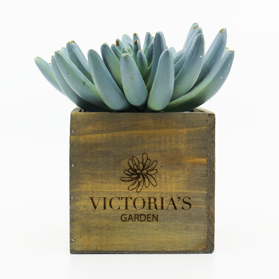 Personalized Rustic Wood Planter 4" Cube Succulent Cactus Box, Perfect ...