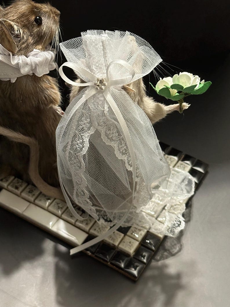 Taxidermy Wedding Couple – Gerbil Bride & Degu Groom – Funny Wedding ...