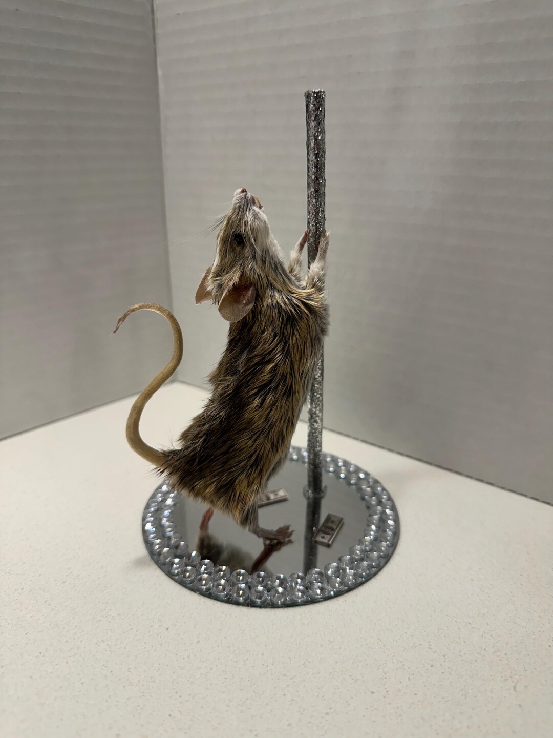 Pole Dancing Rat Taxidermy – Funny Oddity Decor, Nerdy Curiosity Art ...