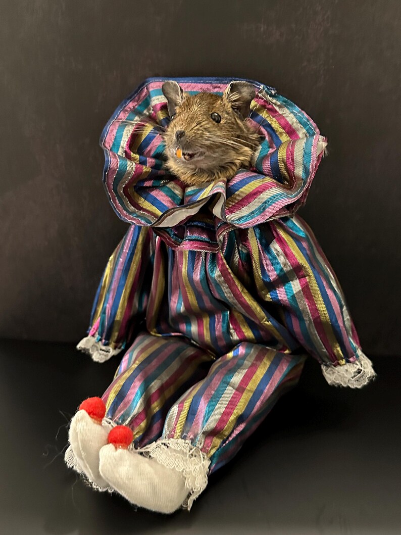 Creepy Clown Doll With Taxidermy Degu Head – Dark Humour Oddities Decor ...