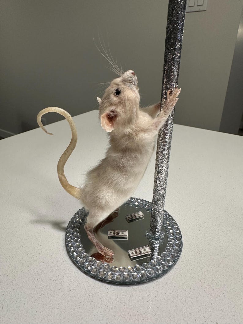 Pole Dancing Rats - Cheeky Taxidermy Rodent | Sparkly Mini Strip Club ...