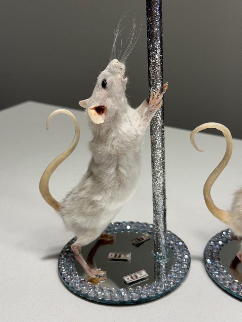 Pole Dancing Rats - Cheeky Taxidermy Rodent | Sparkly Mini Strip Club ...