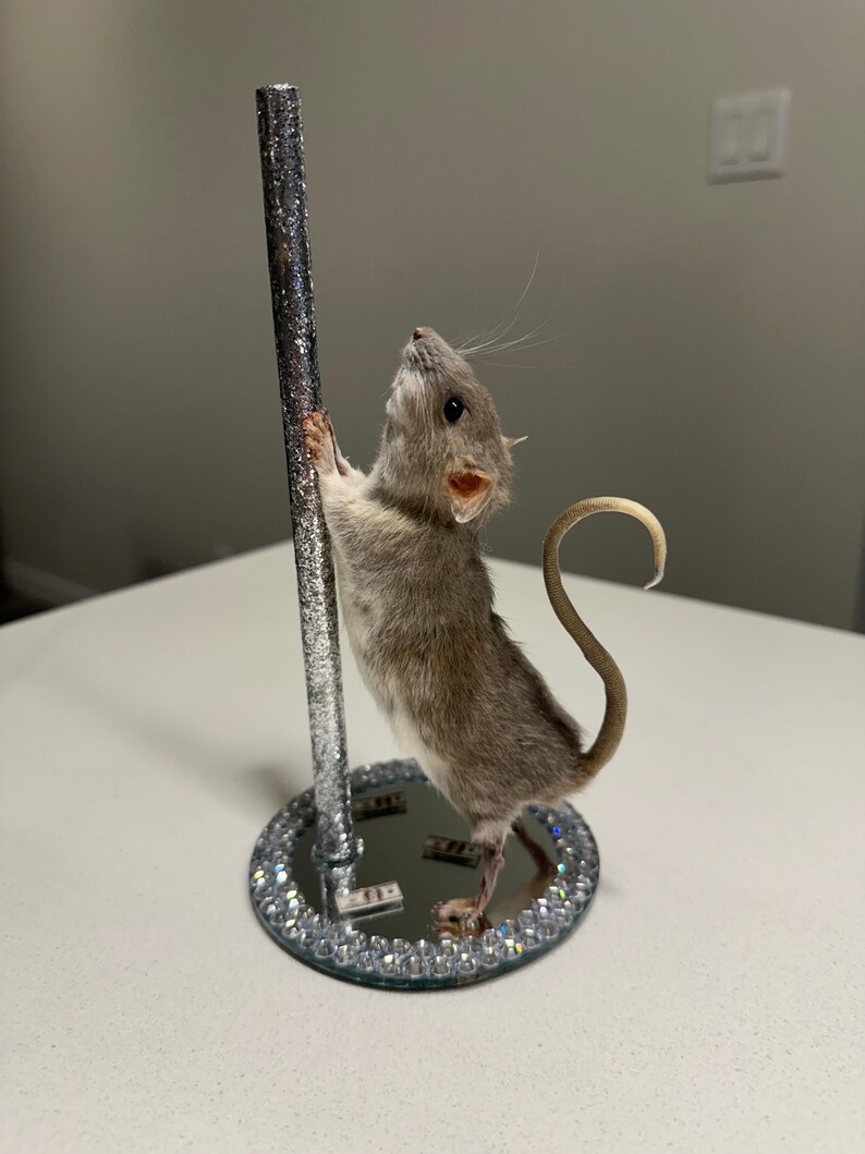 Pole Dancing Rats - Cheeky Taxidermy Rodent | Sparkly Mini Strip Club ...