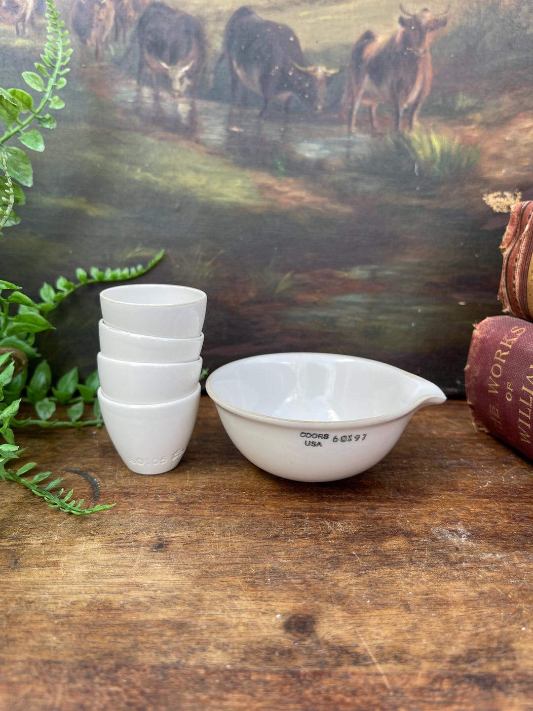 Vintage Coors Laboratory Cups and Bowl - Etsy