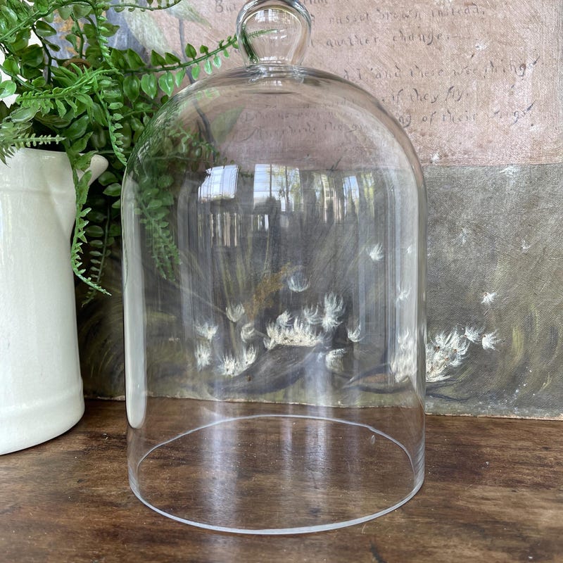 Garden Cloche - Etsy