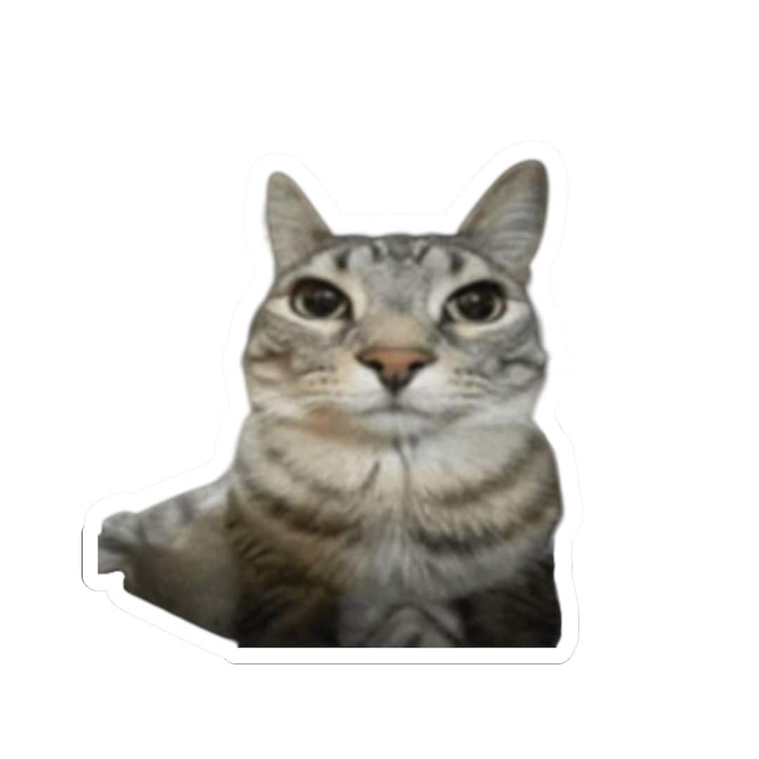 Tabby Meme Cat Face Sticker | Kiss-cut Cat Laptop Decal - Etsy