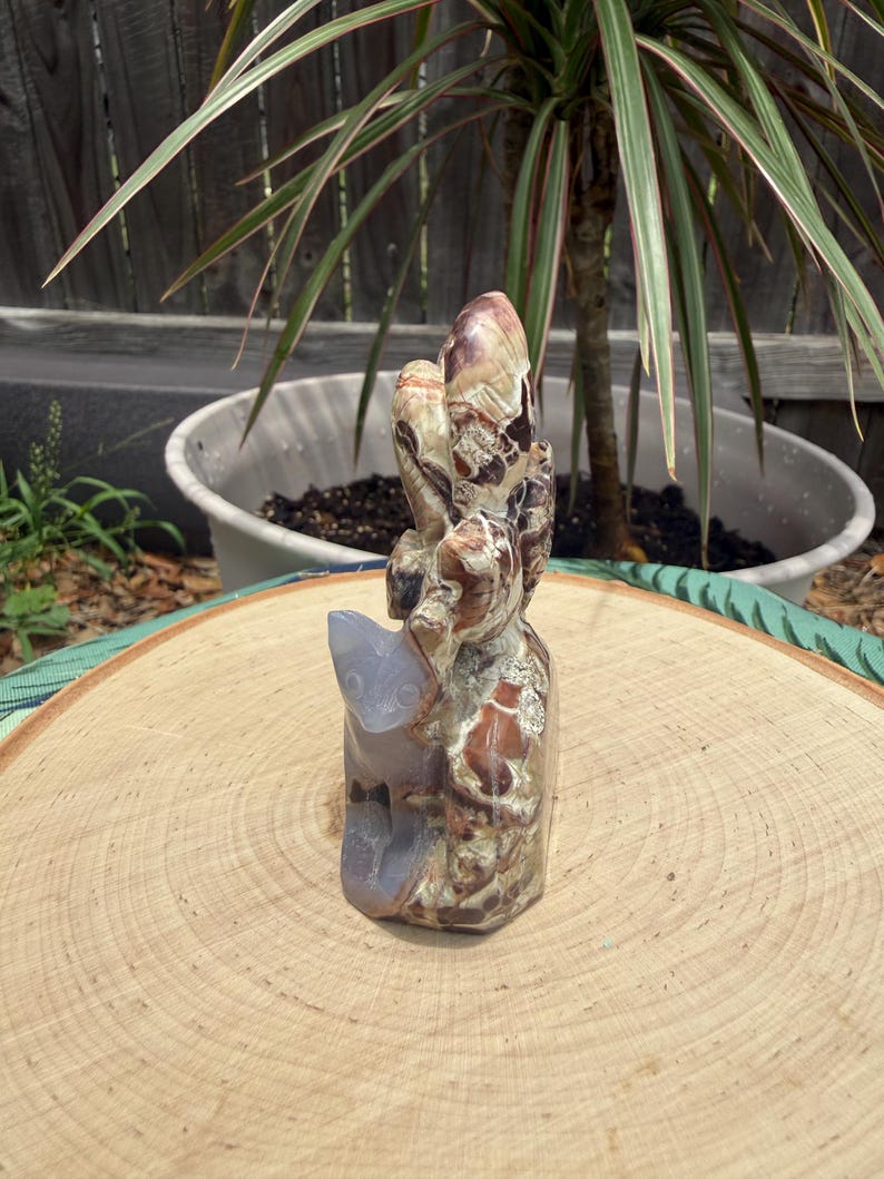 Unique Mexican Agate Nine-tailed Fox Crystal Carving - Collectible! - Etsy