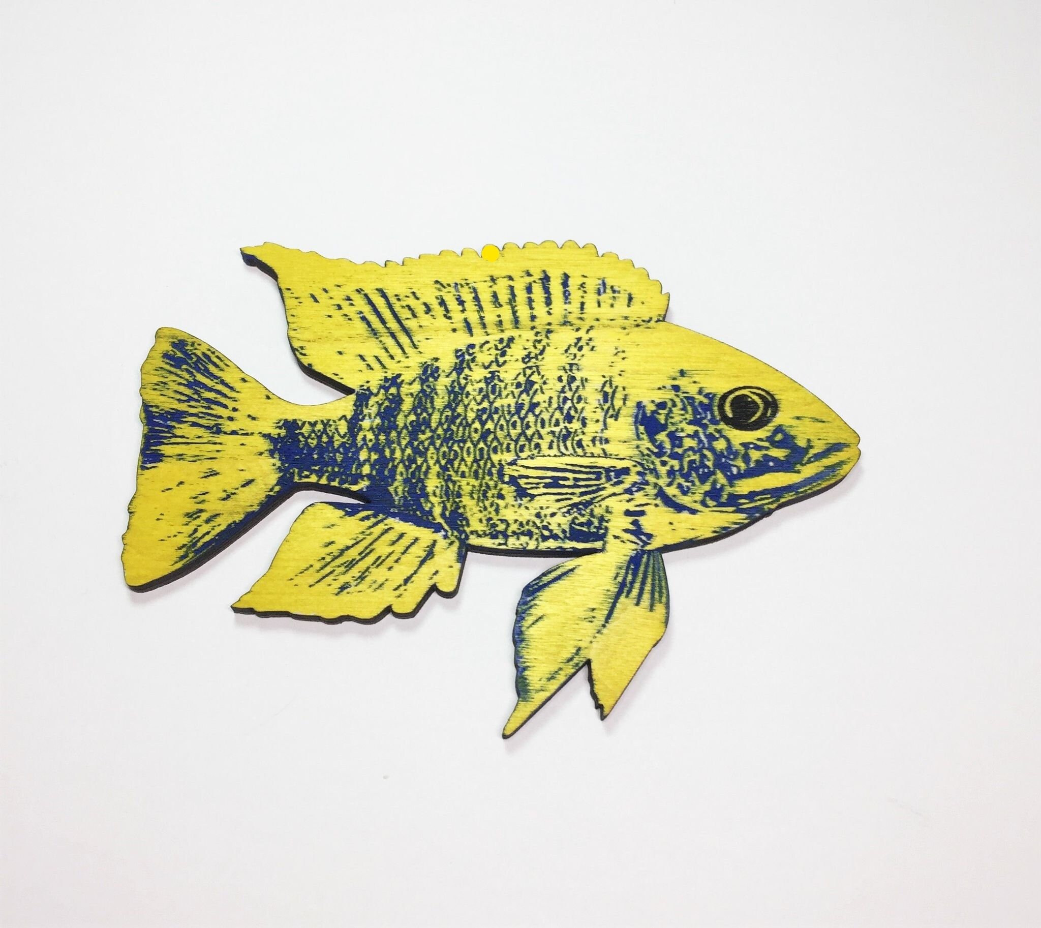 Lemon Jake Peacock Cichlid