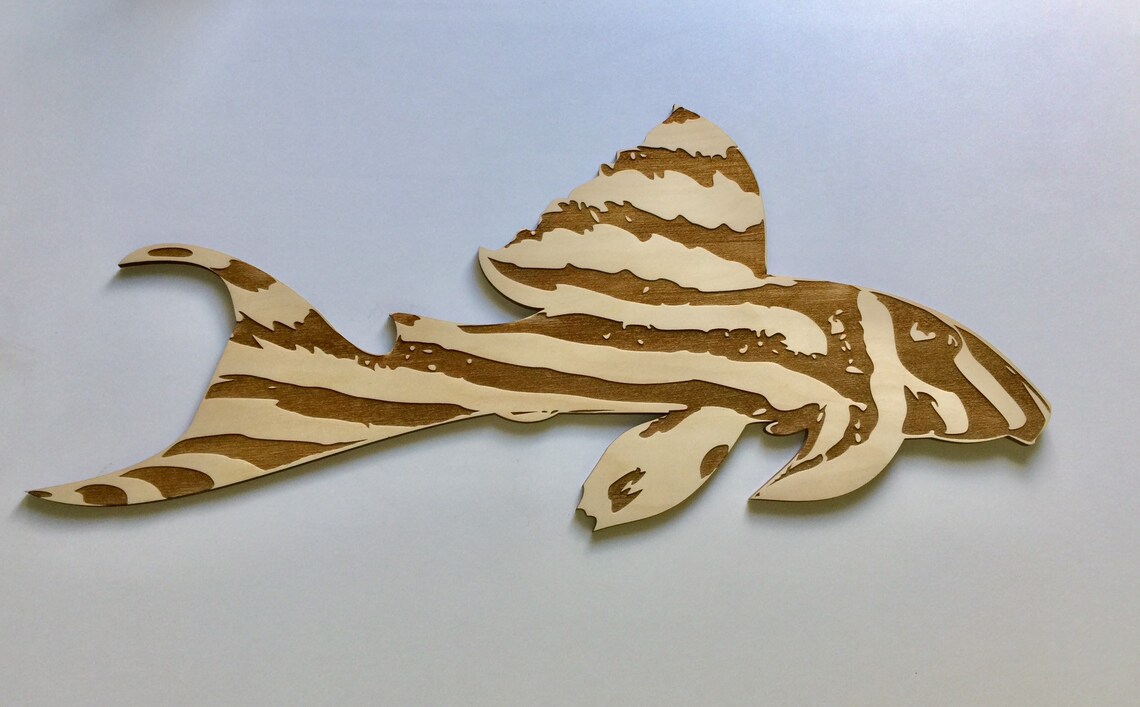 Zebra Plecostomus PLECO Fish Wall Hanging ART, 20'', Personalized - Etsy