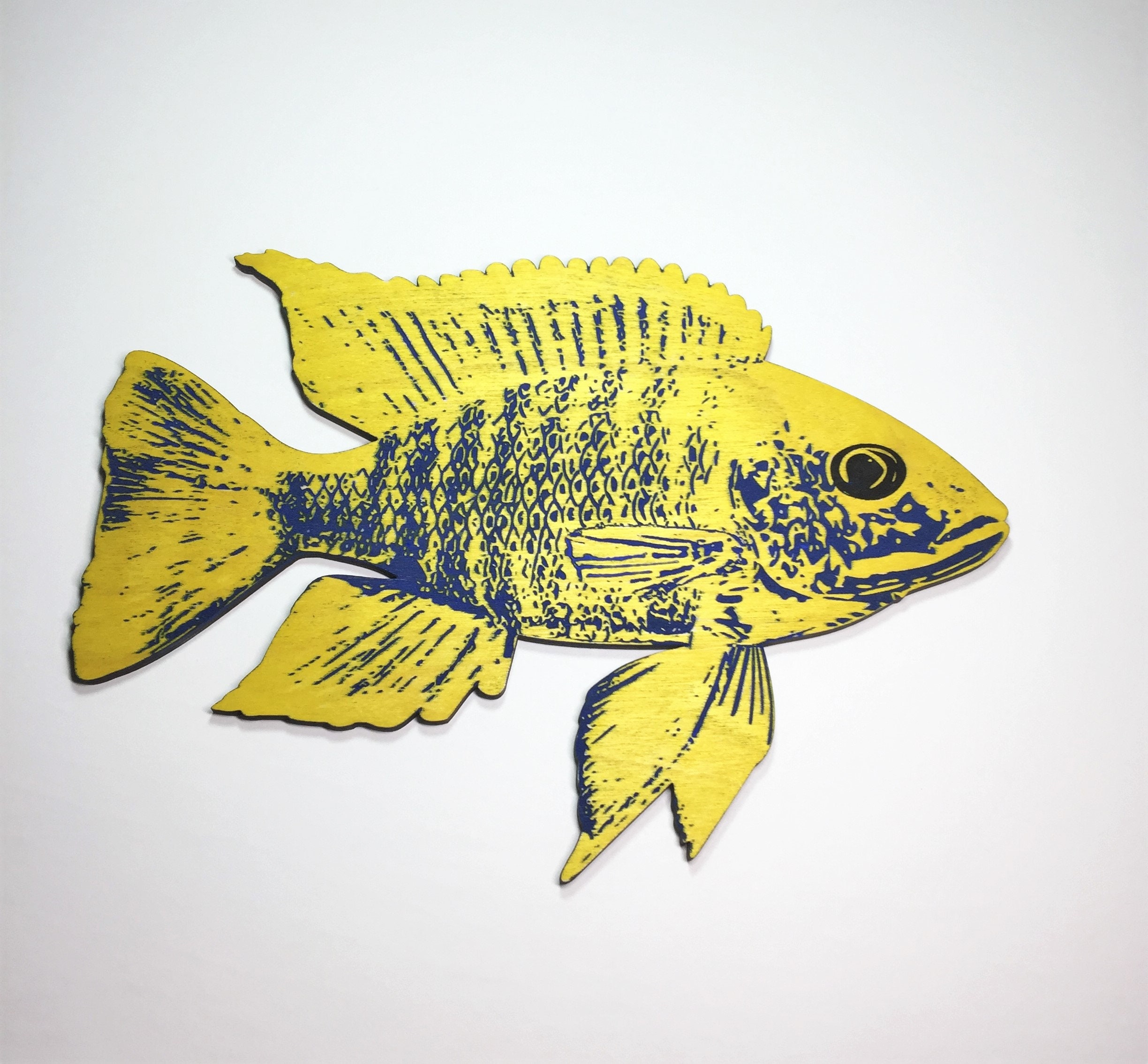 Yellow Peacock Cichlid
