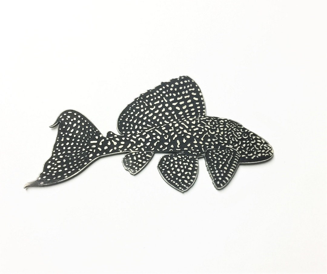 Plecostomus PLECO Fish Wall Hanging ART, 20'' - Etsy