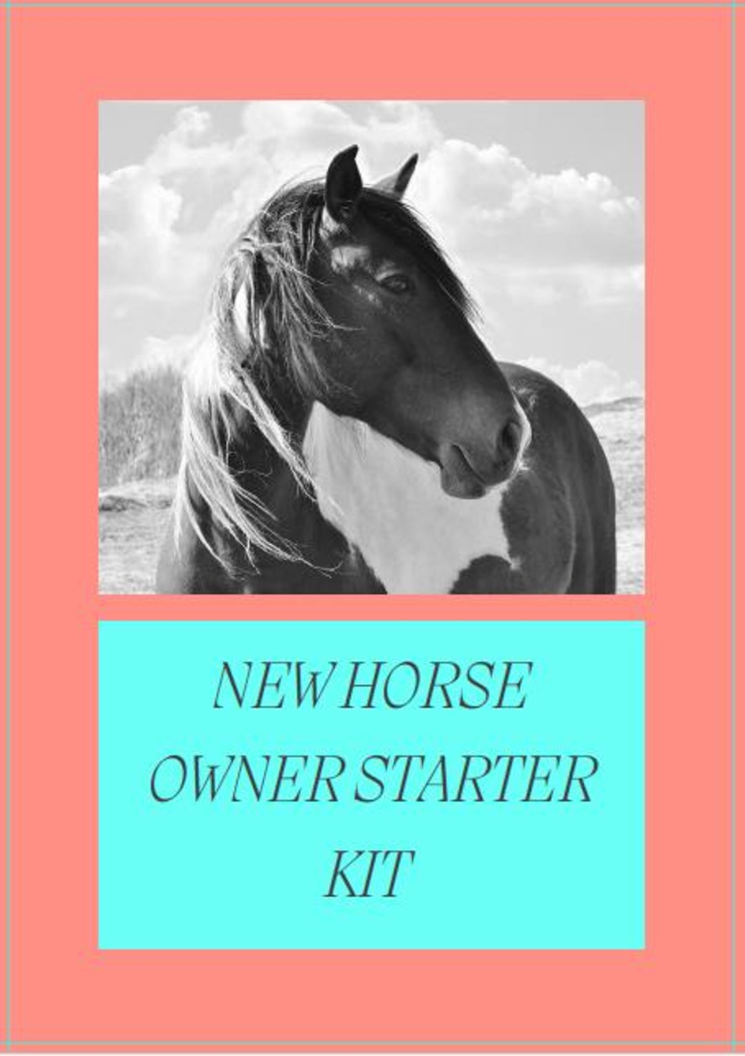 New Horse Owner Starter Kit | Horse Care Checklist | Beginner ...