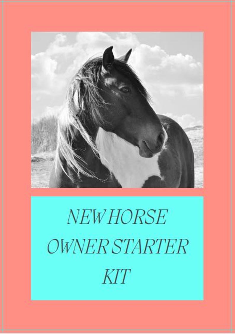 New Horse Owner Starter Kit | Horse Care Checklist | Beginner ...