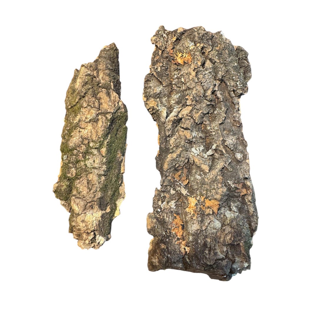 Cork Bark Slabs for Bioactive Enclosures | Natural Isopod & Springtail ...