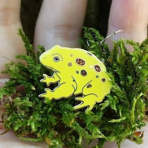 Toad Enamel Pin - Etsy