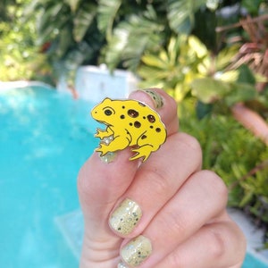 Toad Enamel Pin - Etsy