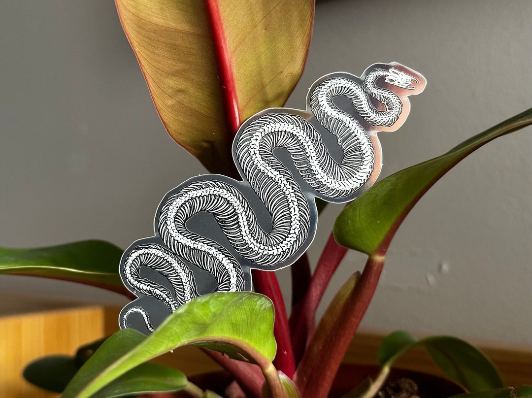 Snake Skeleton Holographic Die Cut Sticker - Etsy