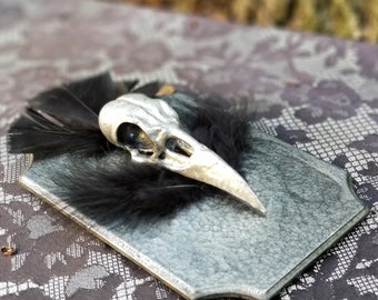 Real raven skull | Etsy