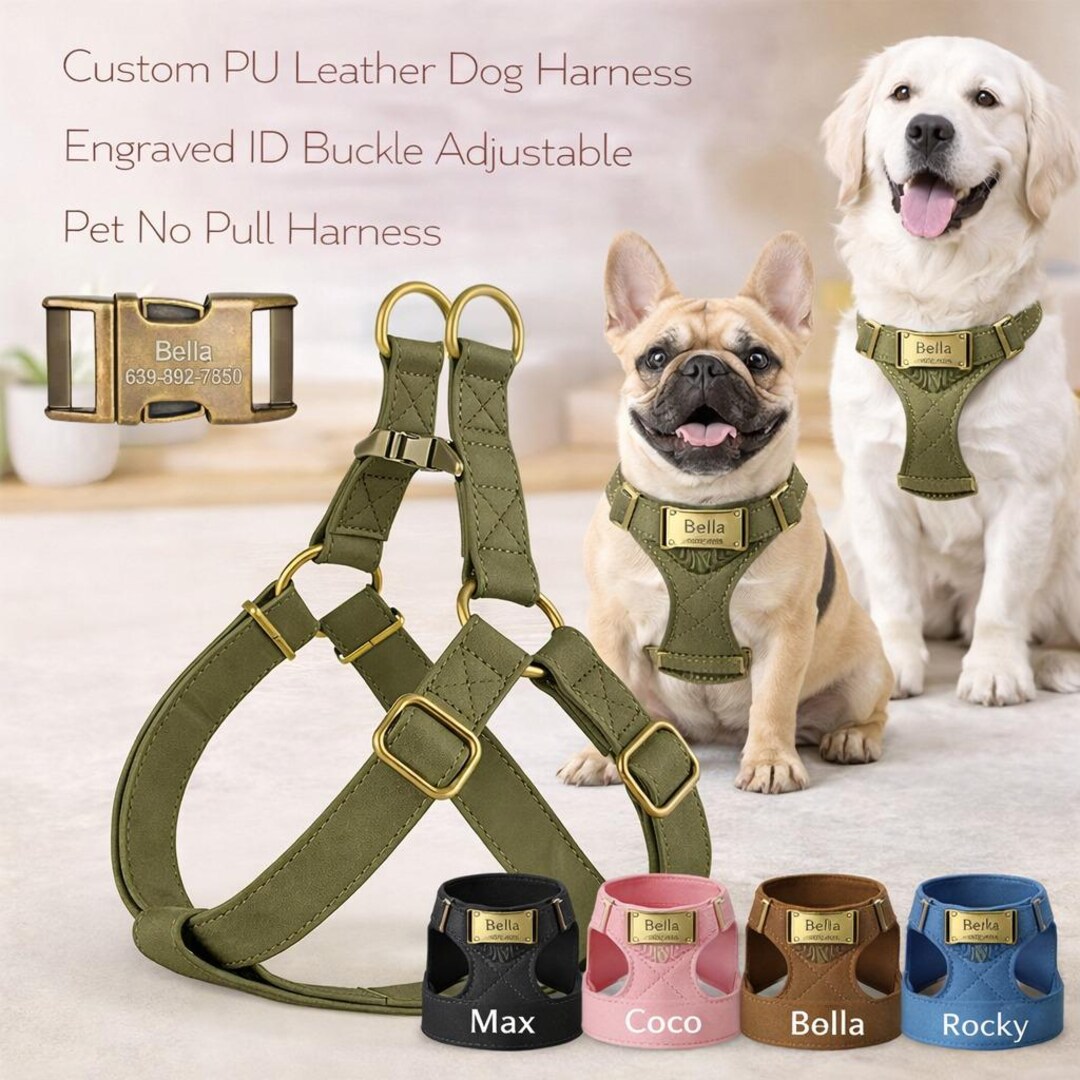 Personalized Dog Harness & Leash Set | Engraved ID, PU Leather - Etsy