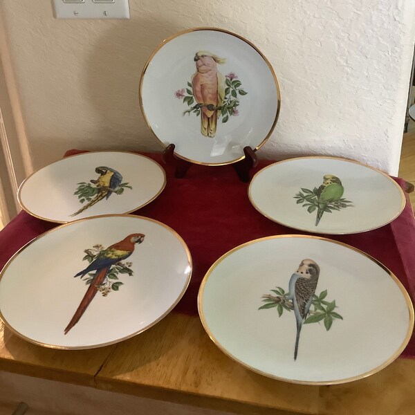 Bavaria Parrot Plate - Etsy Australia