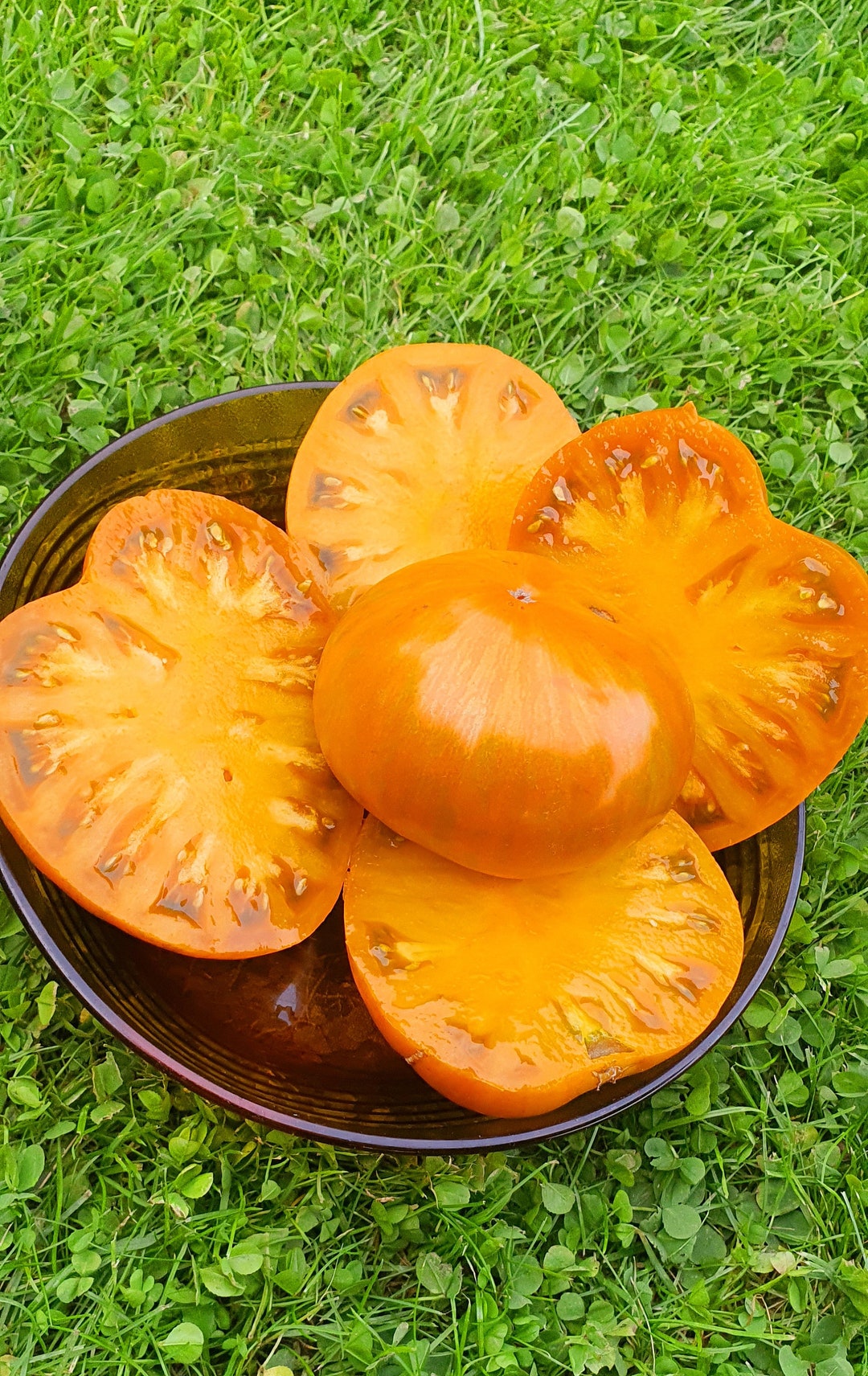 10 Zebra Zolta Tomato Organic Seeds - Zebra Zolta, Non GMO, Bio ...