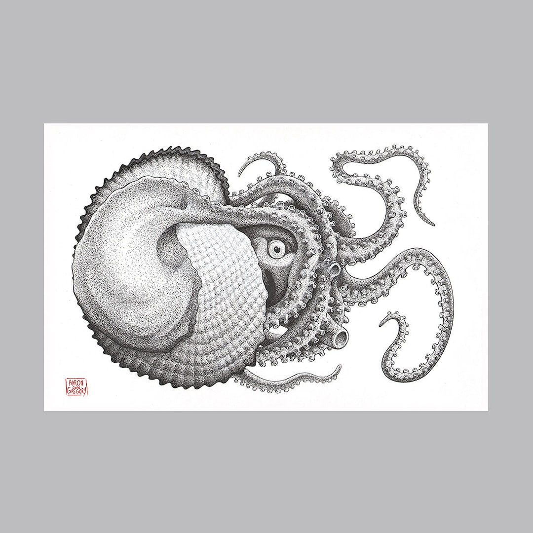 Art Print - Argonaut Octopus - Etsy