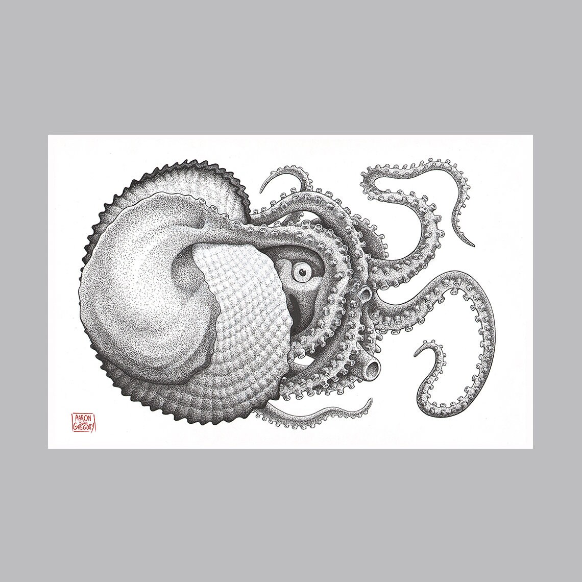 Art Print - Argonaut Octopus - Etsy